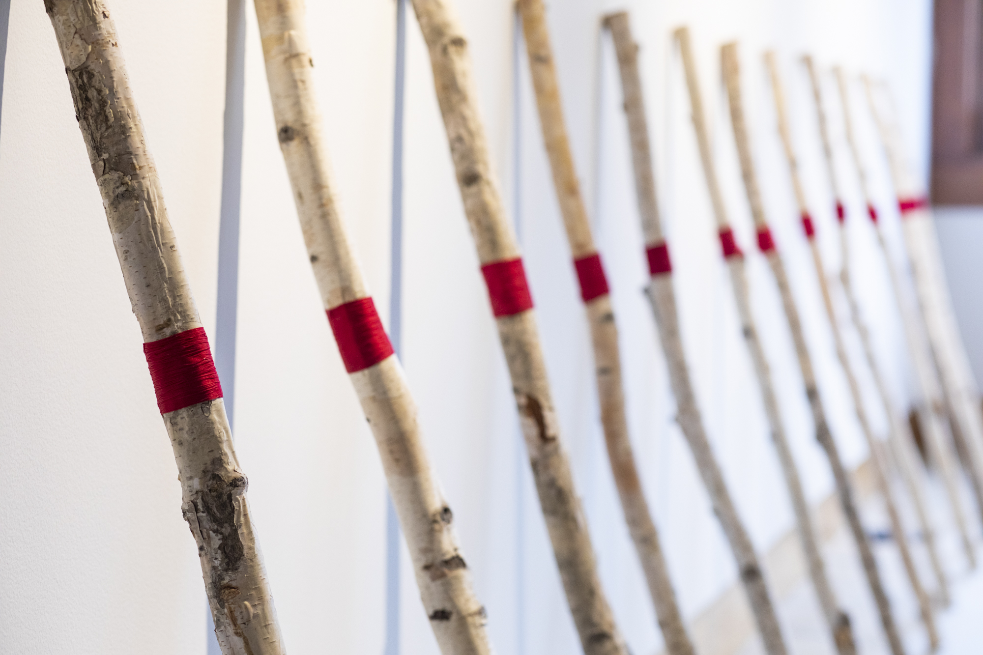 Arts & Culture - Native American Community Development Institute