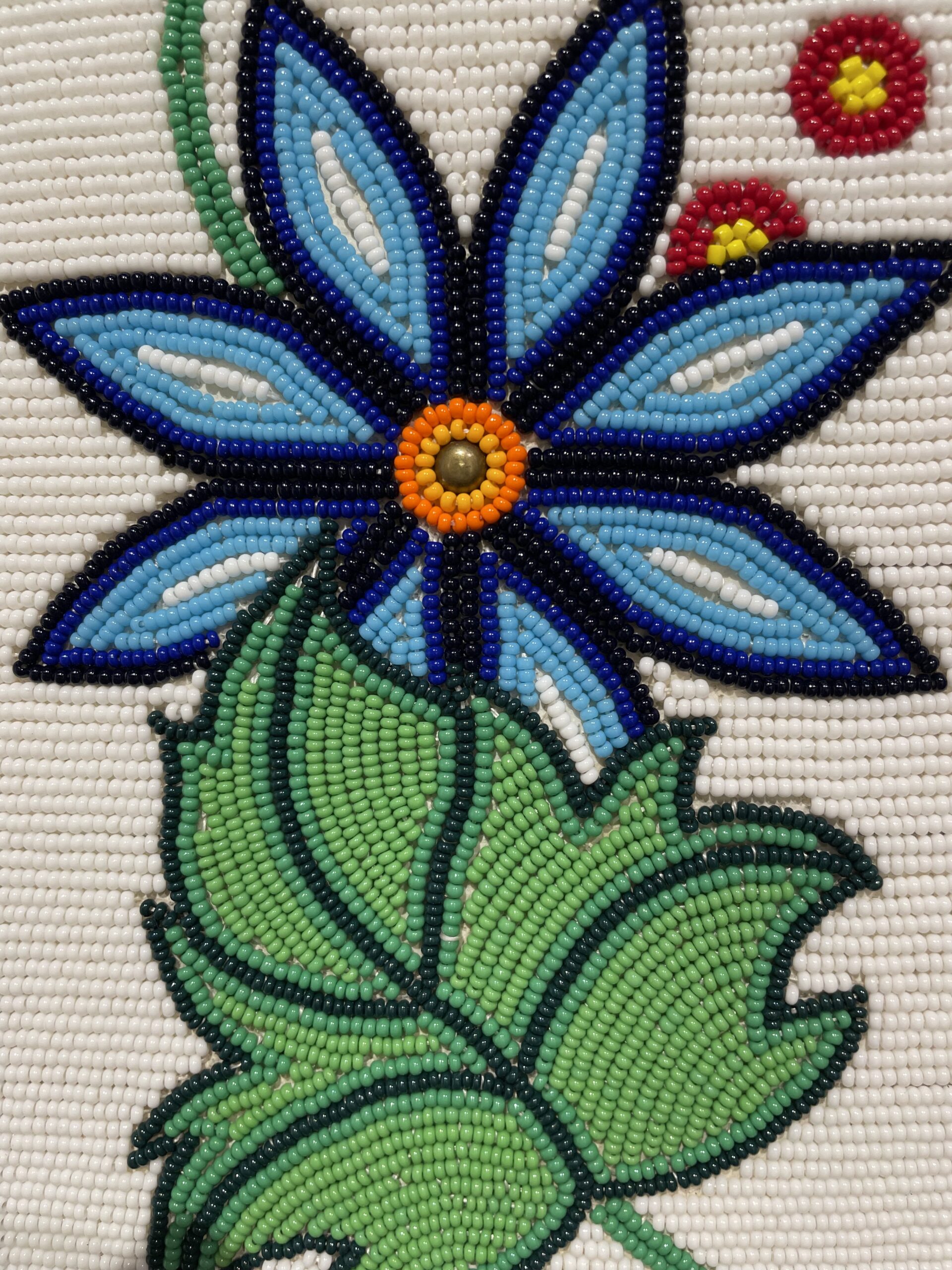 Media Kit - Native American Community Development Institute